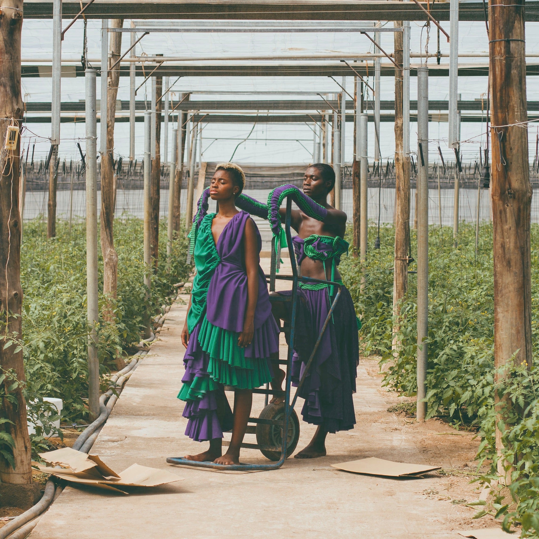 OVERPOPULATED WORLD – ACIEN